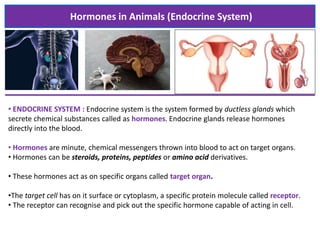 Endocrine System (Hormones in Animals/WBBSE)) | PPT