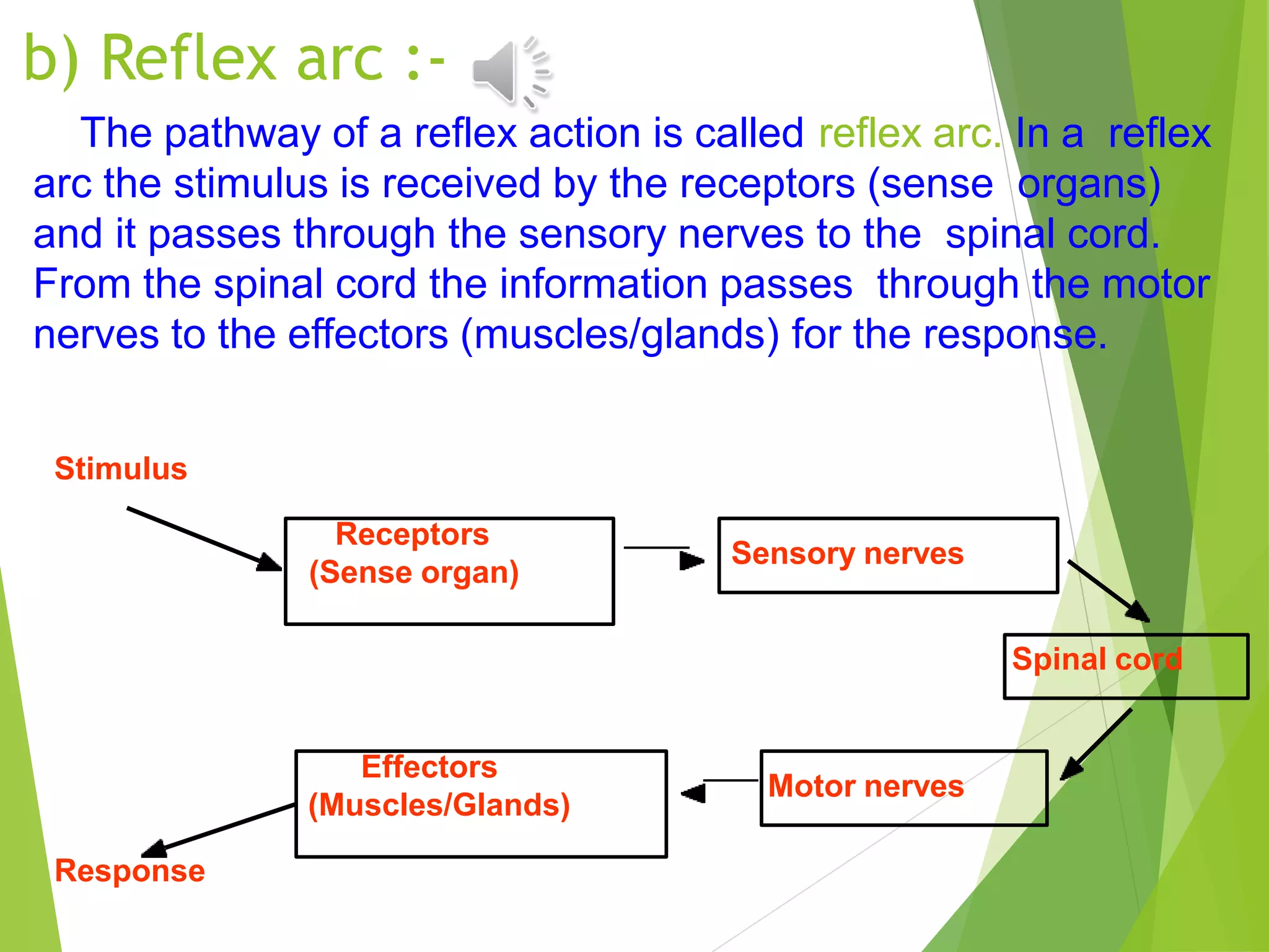 CONTROL AND COORDINATION class-10 chapter-7(bio).pptx