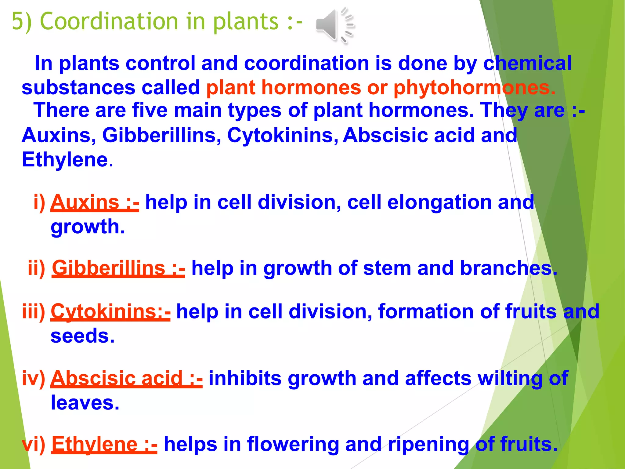 CONTROL AND COORDINATION class-10 chapter-7(bio).pptx
