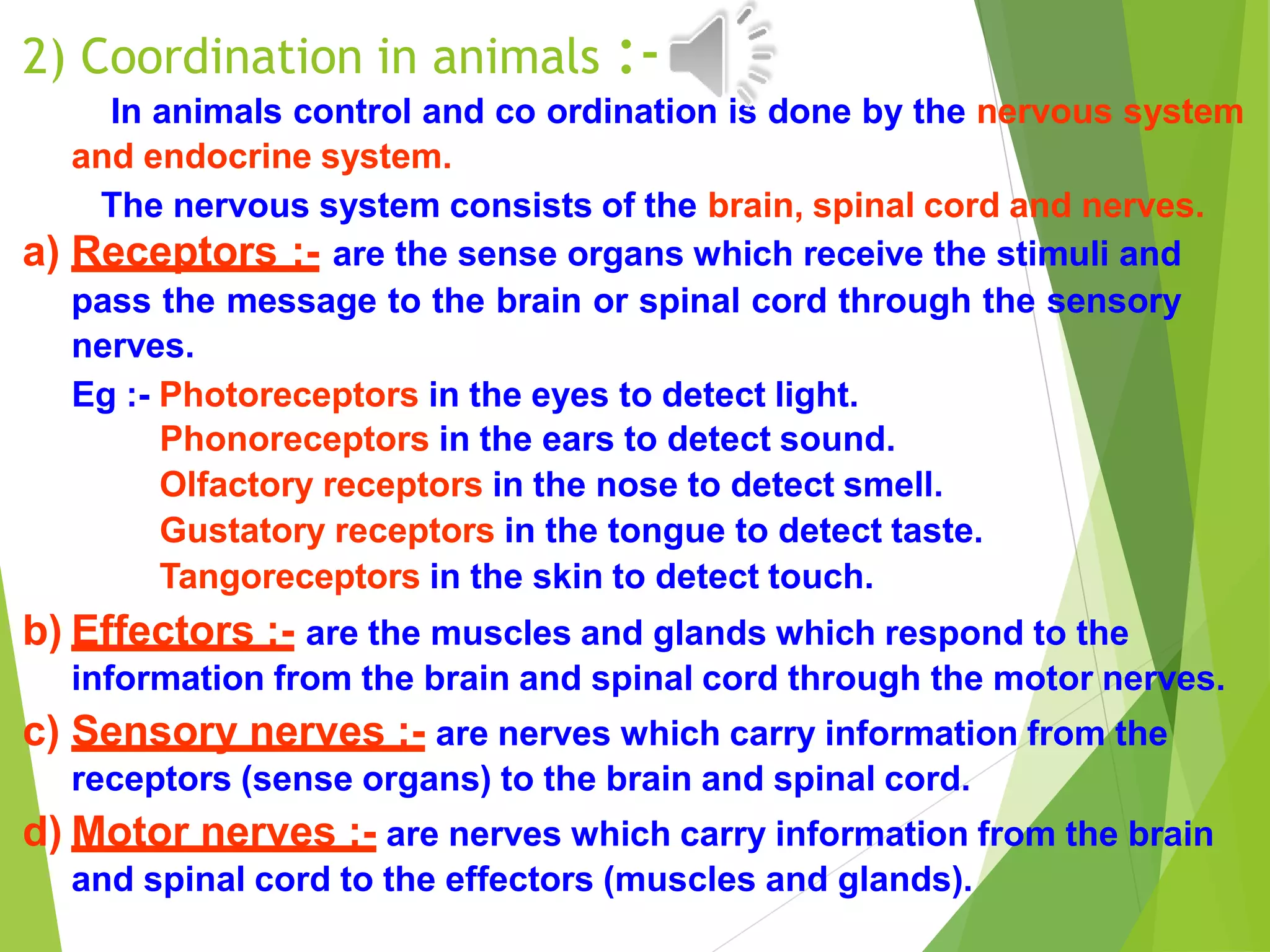 CONTROL AND COORDINATION class-10 chapter-7(bio).pptx