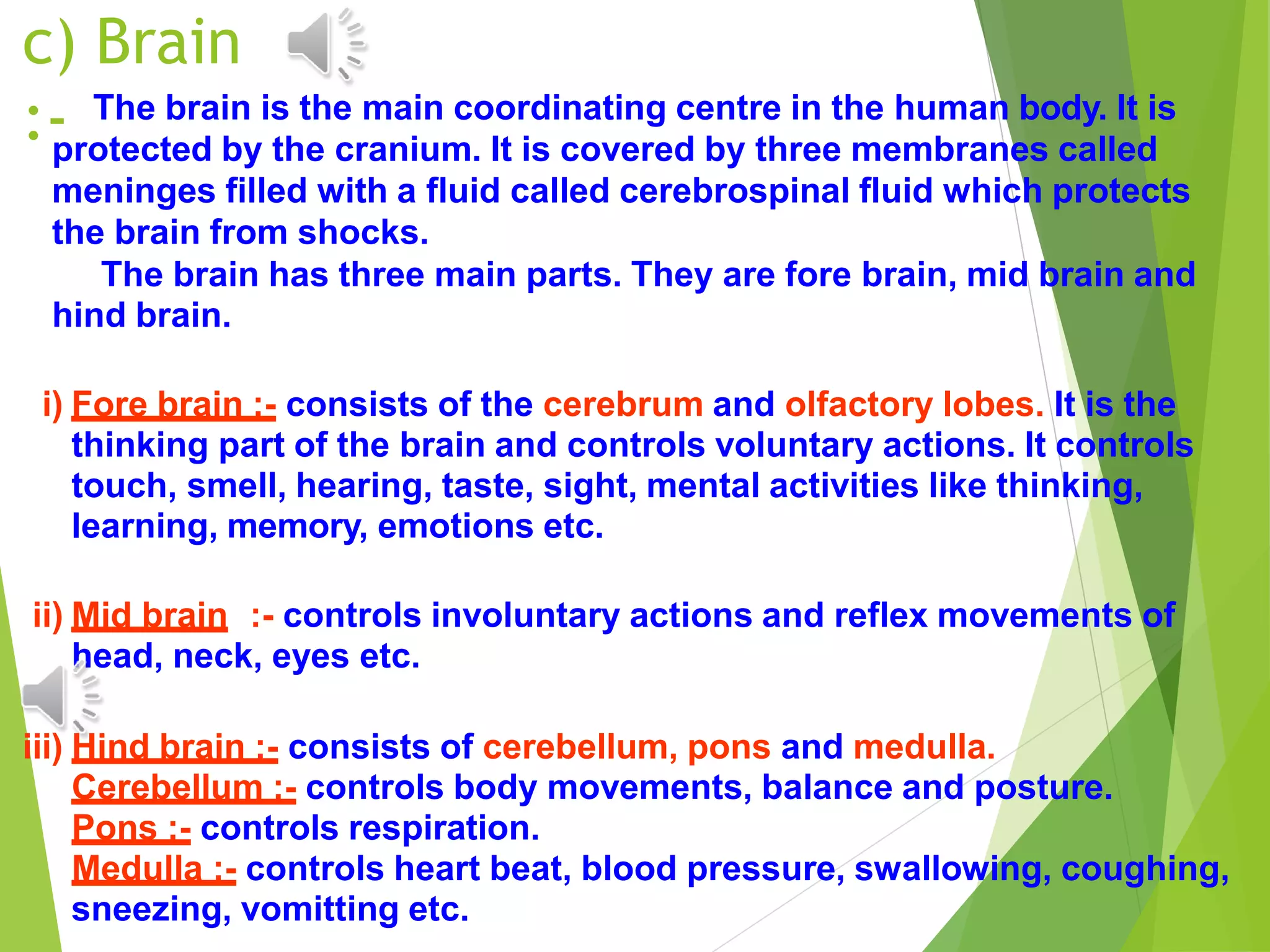 CONTROL AND COORDINATION class-10 chapter-7(bio).pptx