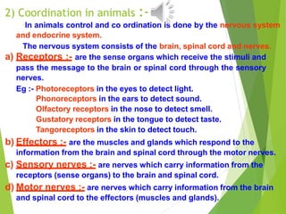 CONTROL AND COORDINATION class-10 chapter-7(bio).pptx