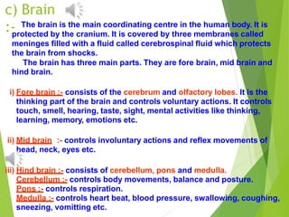 CONTROL AND COORDINATION class-10 chapter-7(bio).pptx