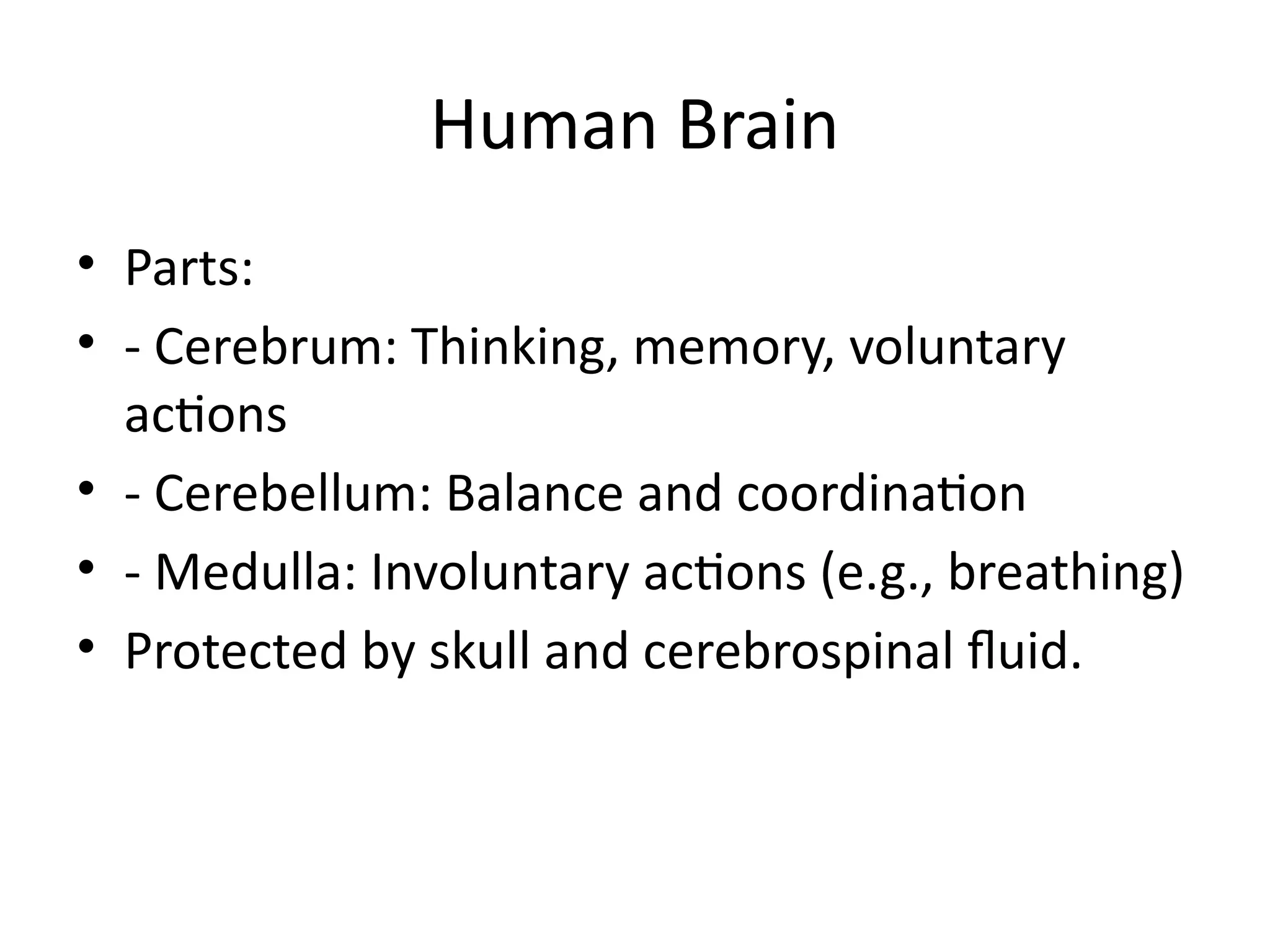 Control_and_Coordination_Class10_10.pptx