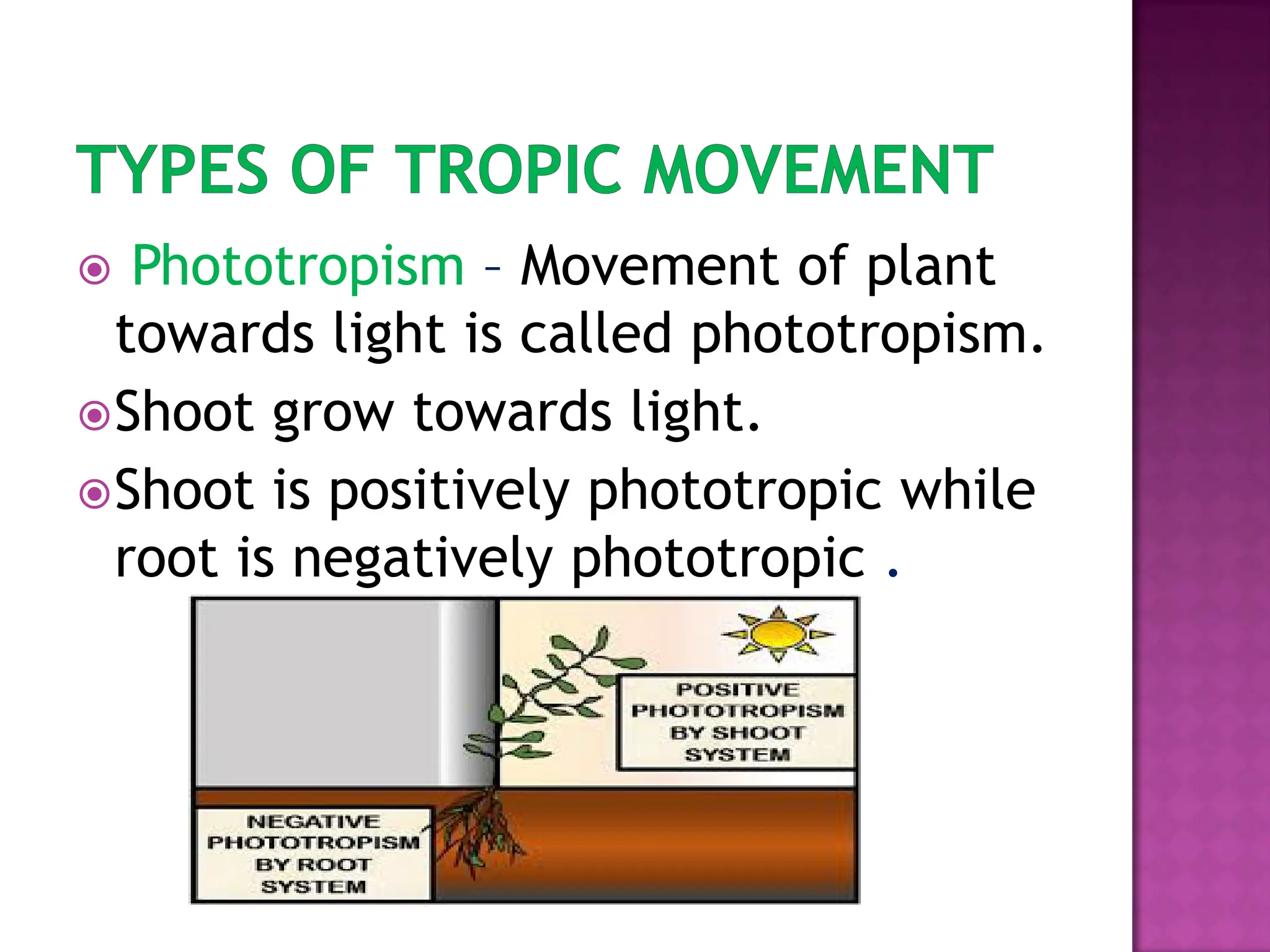 CONTROL AND COORDINATION ,class 10 ,module 2.3 ,ppt.pdf