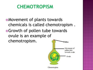 CONTROL AND COORDINATION ,class 10 ,module 2.3 ,ppt.pdf