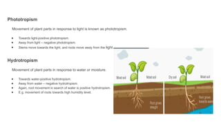 control and coordination class 10th.pptx