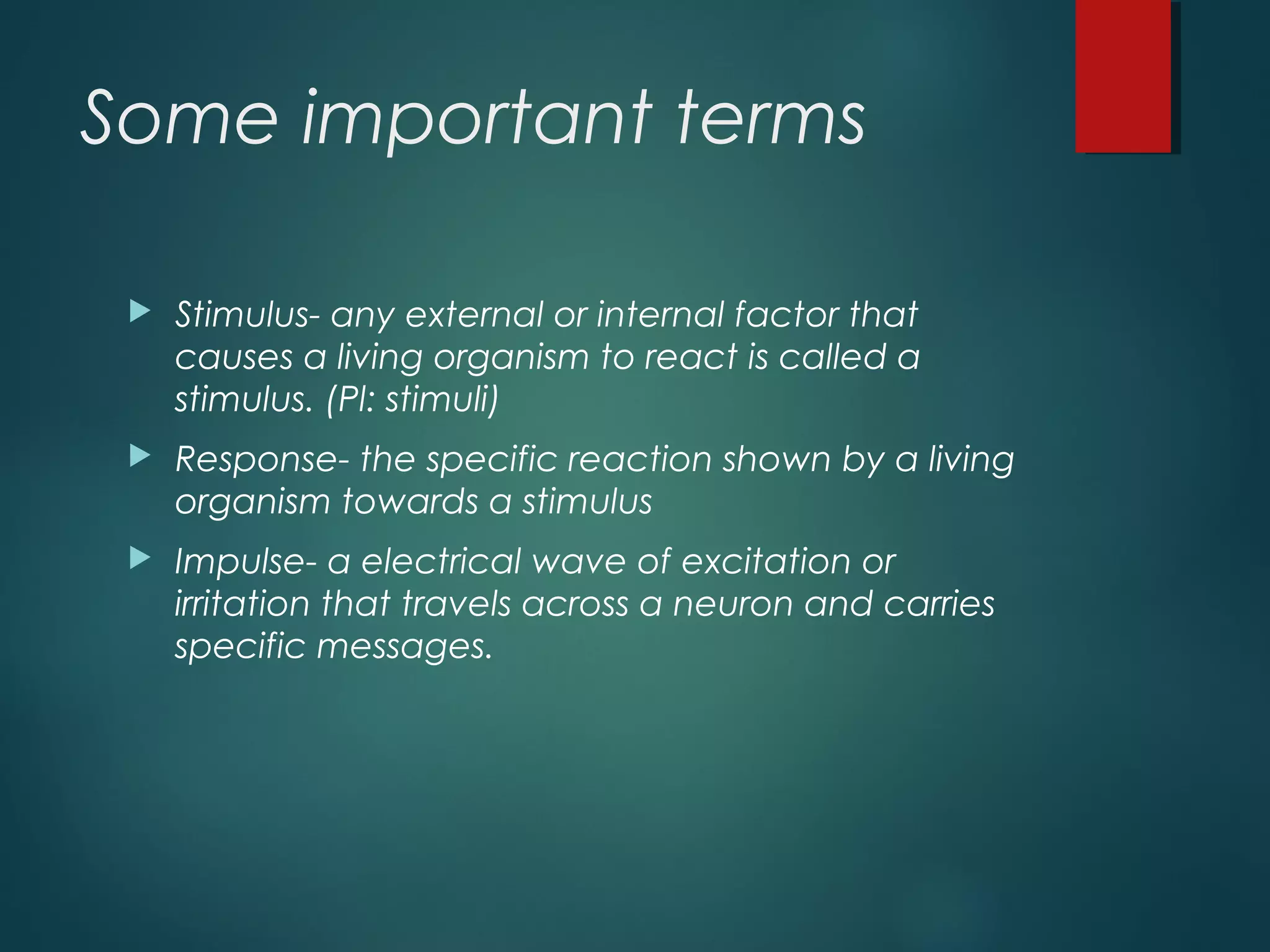 Control and coordination | PPT