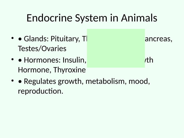 Control_and_Coordination_Designed_Presentation.pptx