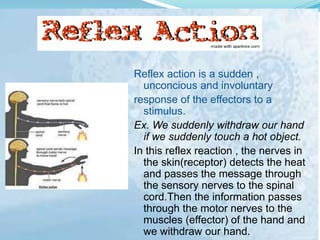 Control and Coordination in Animals .Part 1.pptx