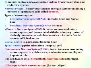 Control and Coordination in Animals .Part 1.pptx