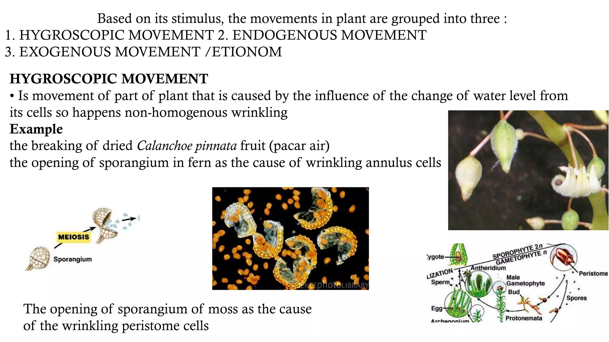 Control and coordination in plants by Dr. T.V. Preethi | PDF