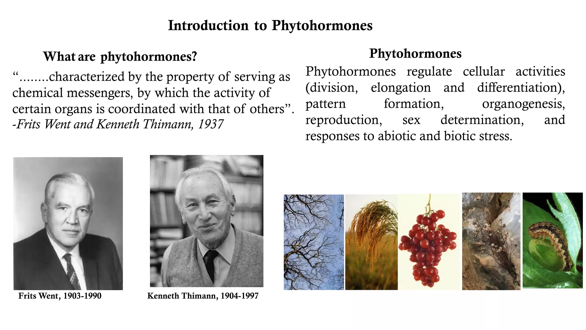 Control and coordination in plants by Dr. T.V. Preethi | PDF