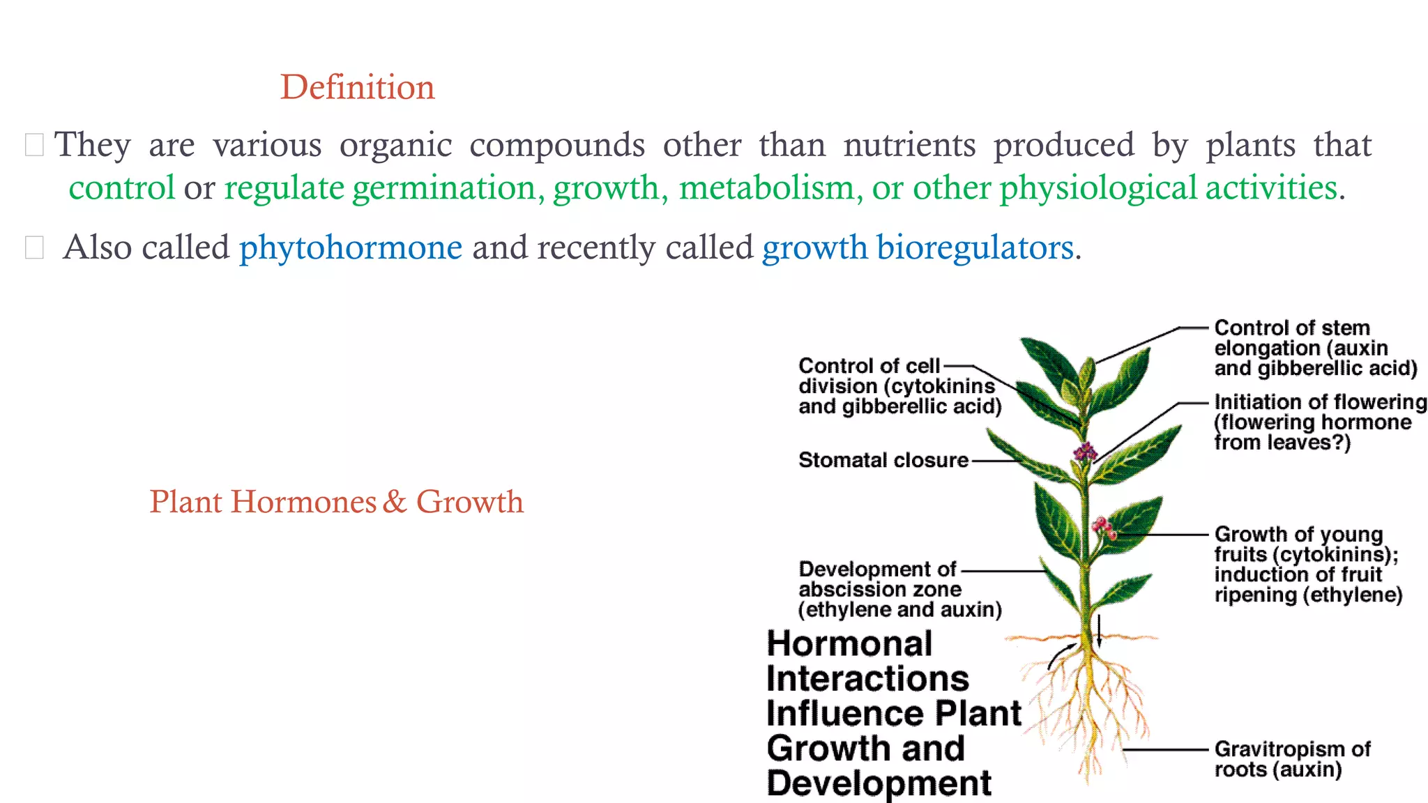 Control and coordination in plants by Dr. T.V. Preethi | PDF