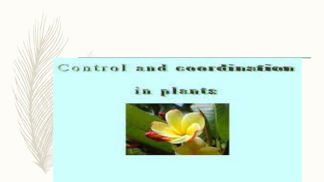 Control and Coordination in plants .Part 1.pptx