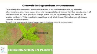 Control and Coordination in plants .Part 1.pptx