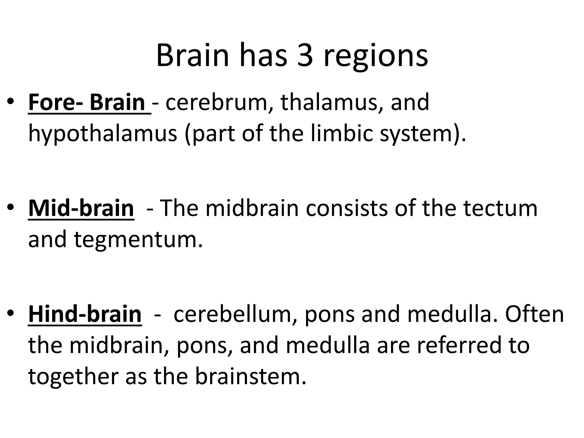 Control and coordination kky | PPTX | Brain and Nervous System ...