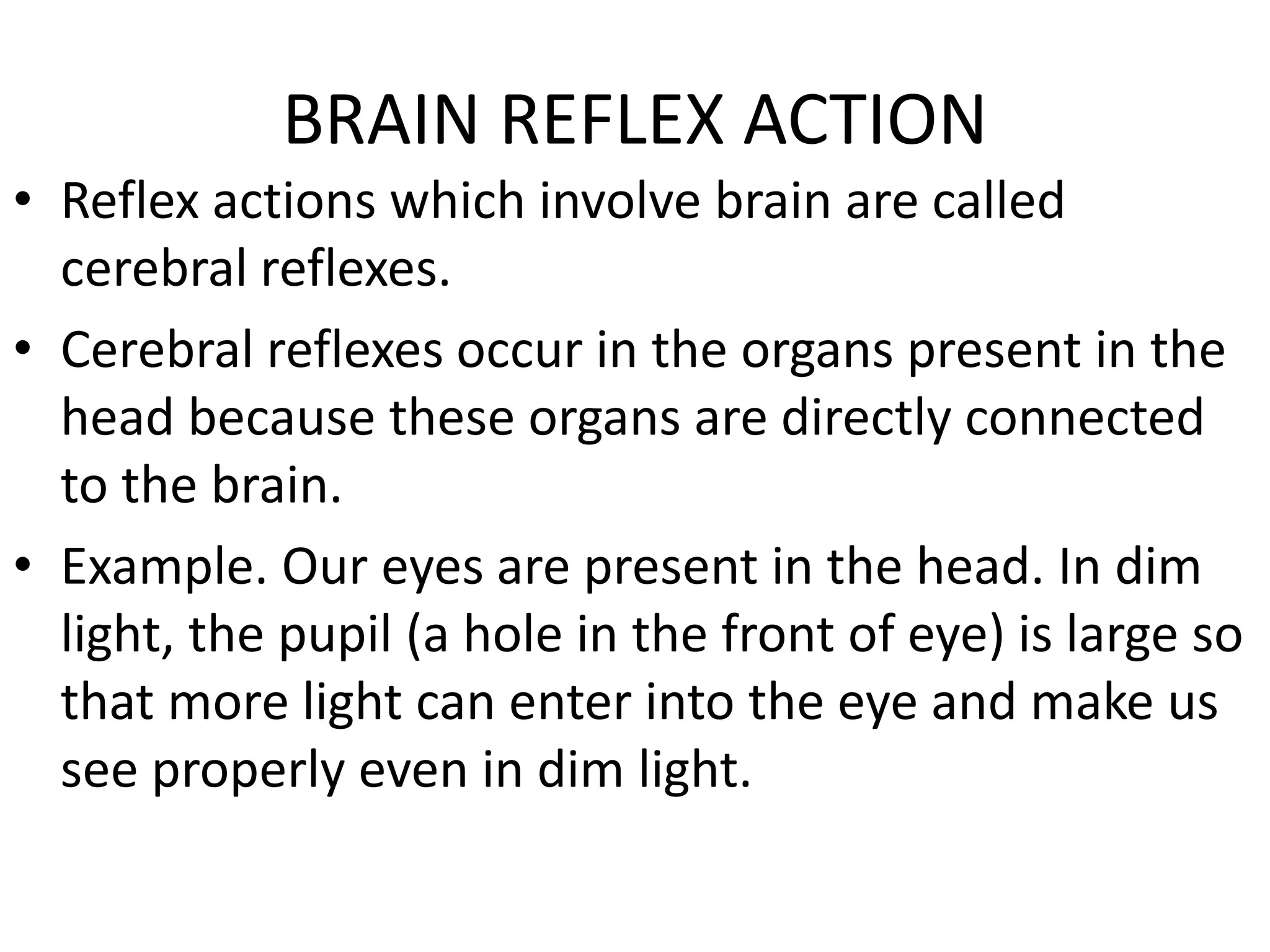 Control and coordination kky | PPTX | Brain and Nervous System ...