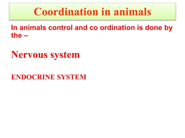 Control and coordination (nervous system) | PPTX