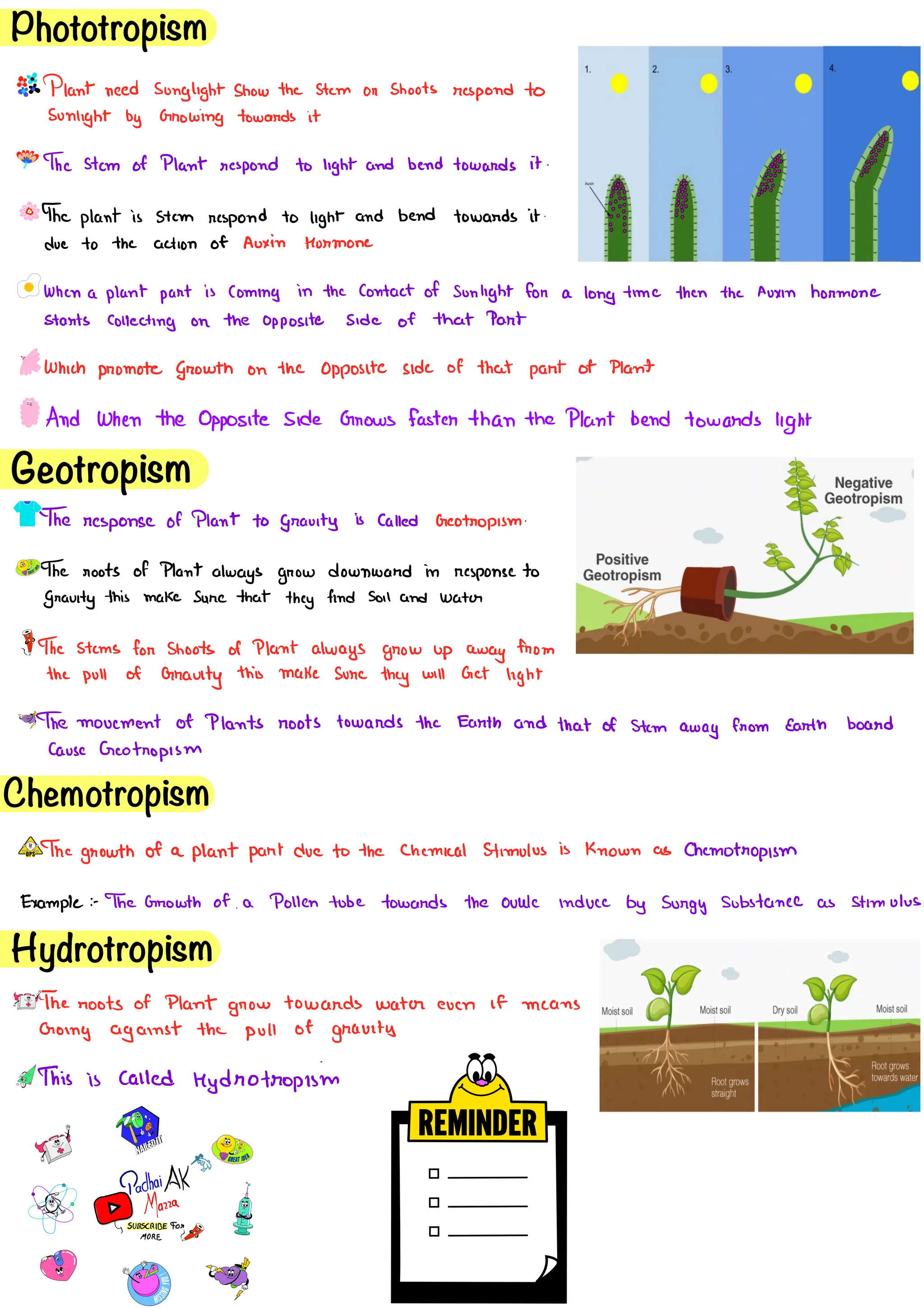 Control And Coordination Padhai Ak Mazza Best Hand written Notes 2025.pdf