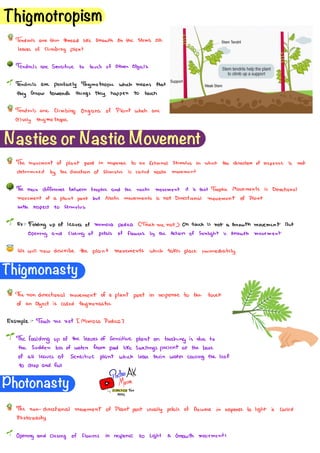 Control And Coordination Padhai Ak Mazza Best Hand written Notes 2025.pdf