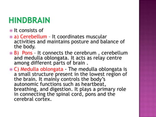 control and coordination,PPT,module-1.3.pdf