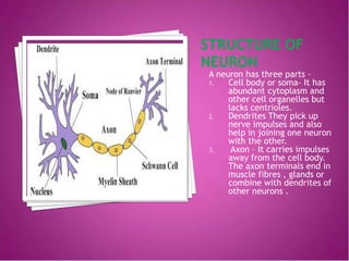 control and coordination,PPT,module-1.3.pdf