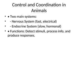 Control_and_Coordination_Presentation (2).pptx