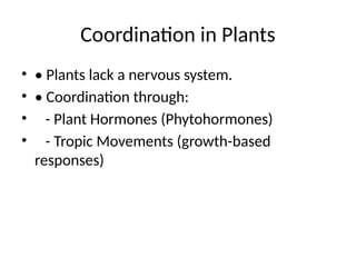 Control_and_Coordination_Presentation (2).pptx