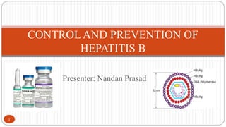 Control and prevention of hepatitis b | PPT