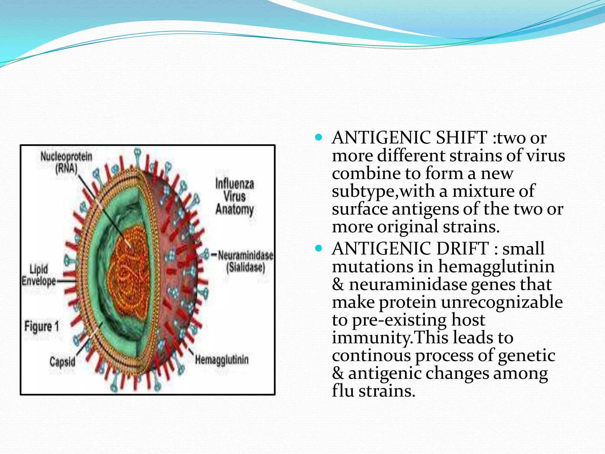 Control and prevention_of_influenza | PPTX