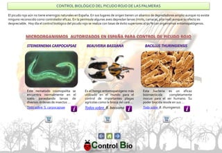 Control biológico de plagas en jardineria | PPSX
