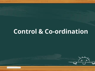 Control & Co-ordination class 11 biology .pptx