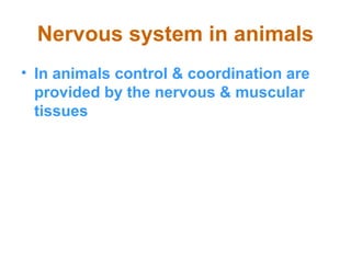 Control & cocordination ppt | PPT