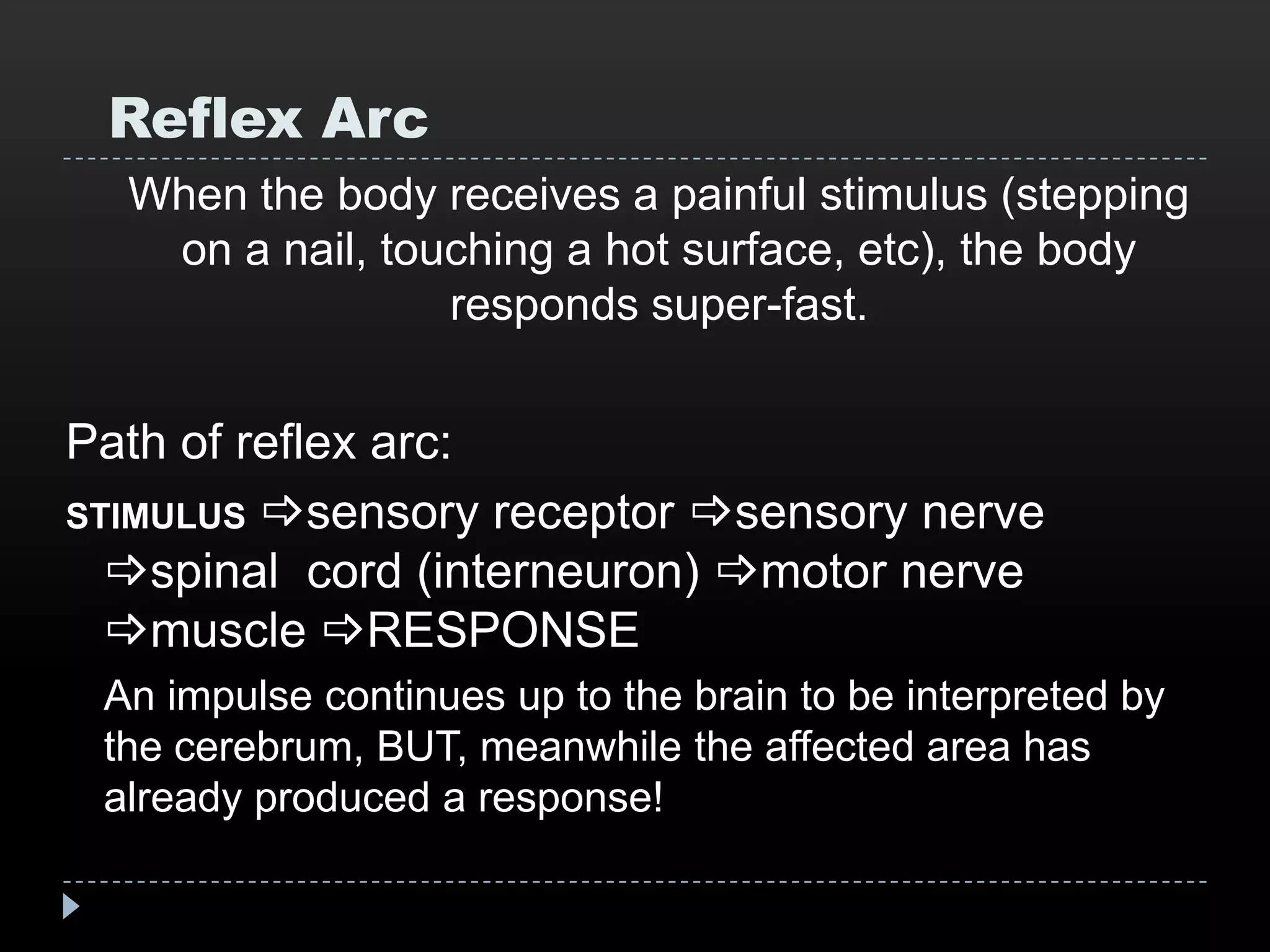 Control and coordination, Brain and its functions | PPTX