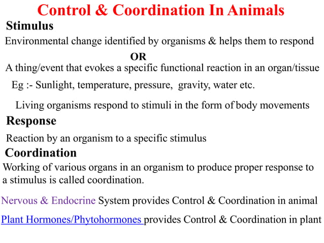 Control & Coordination | PPT