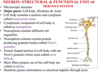 Control & Coordination | PPTX