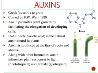Control & coordination III | PPT