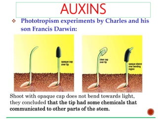 Control & coordination III | PPT