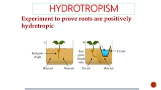 Control & coordination IV | PPT