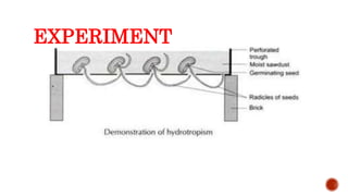 Control & coordination IV | PPT
