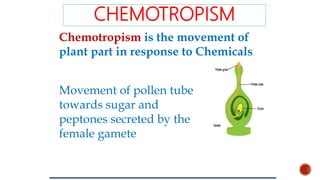 Control & coordination IV | PPT