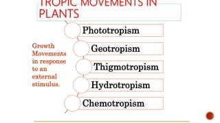 Control & coordination IV | PPT