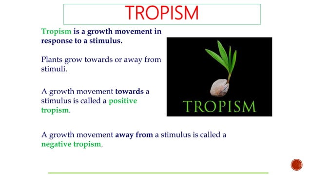 Control & coordination IV | PPT