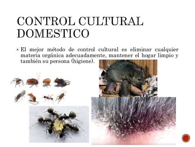 Control cultural de plagas