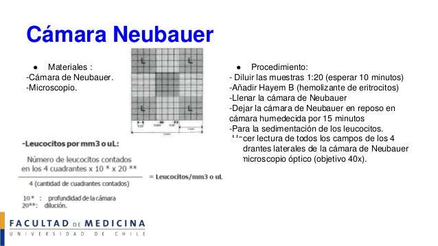Control de calidad glóbulos rojos