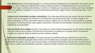 Control de la función motora por la.pptx