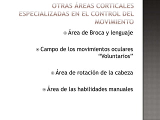 Control de la Función Motora por la Corteza | PPTX