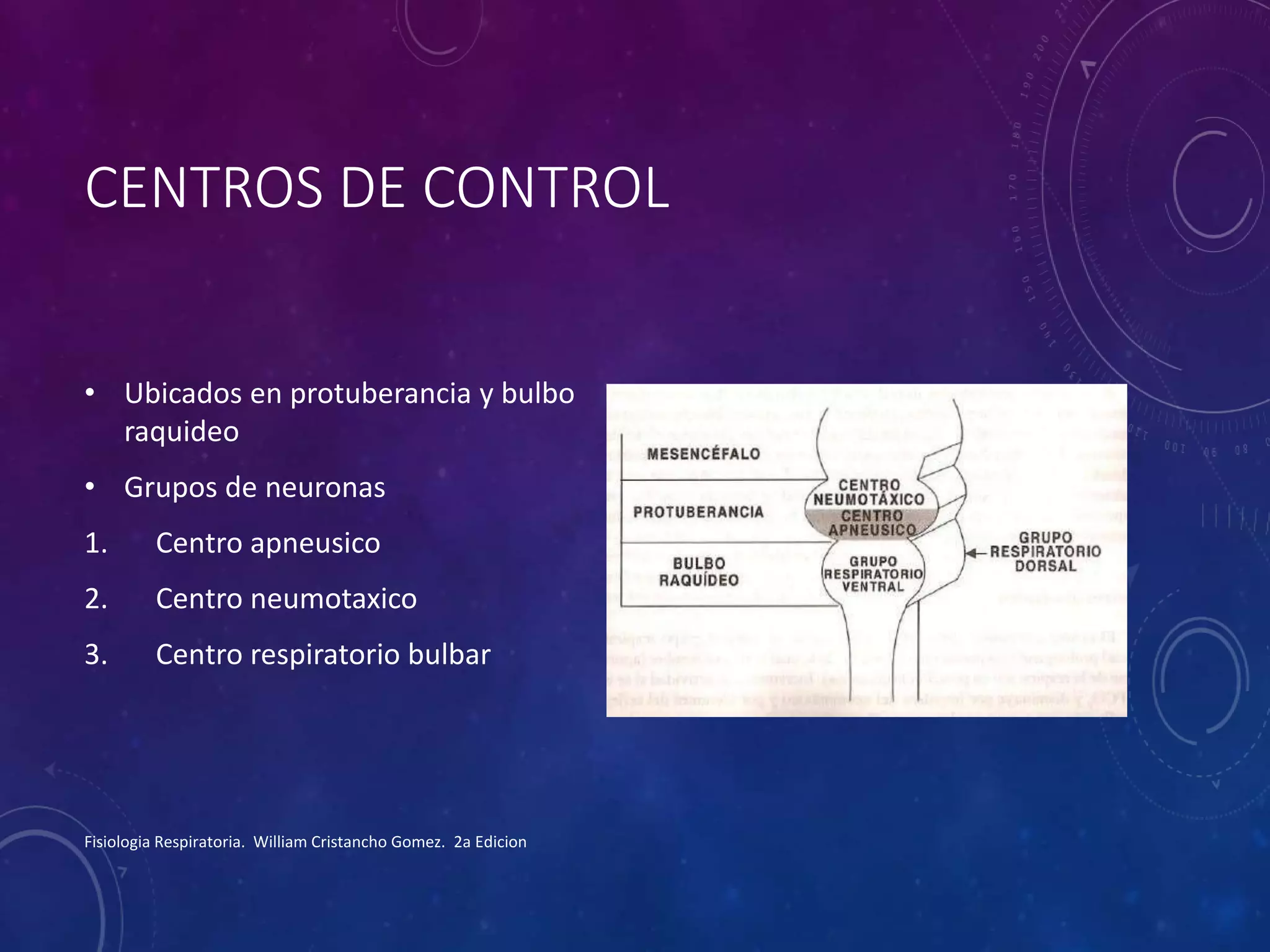 Control de la respiracion | PPTX | Lung and Respiratory Health ...