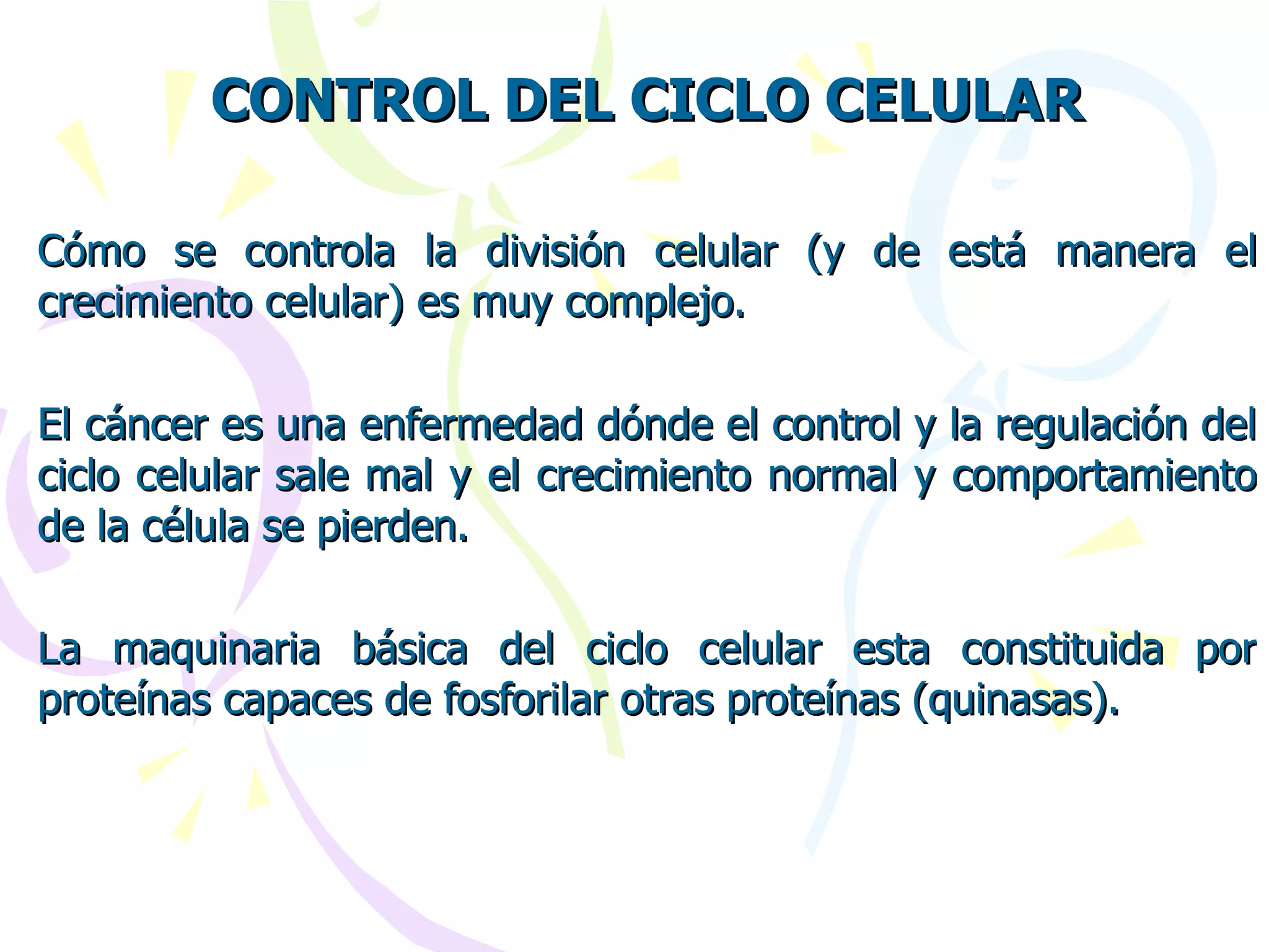 Control Del Ciclo Celular | PPT